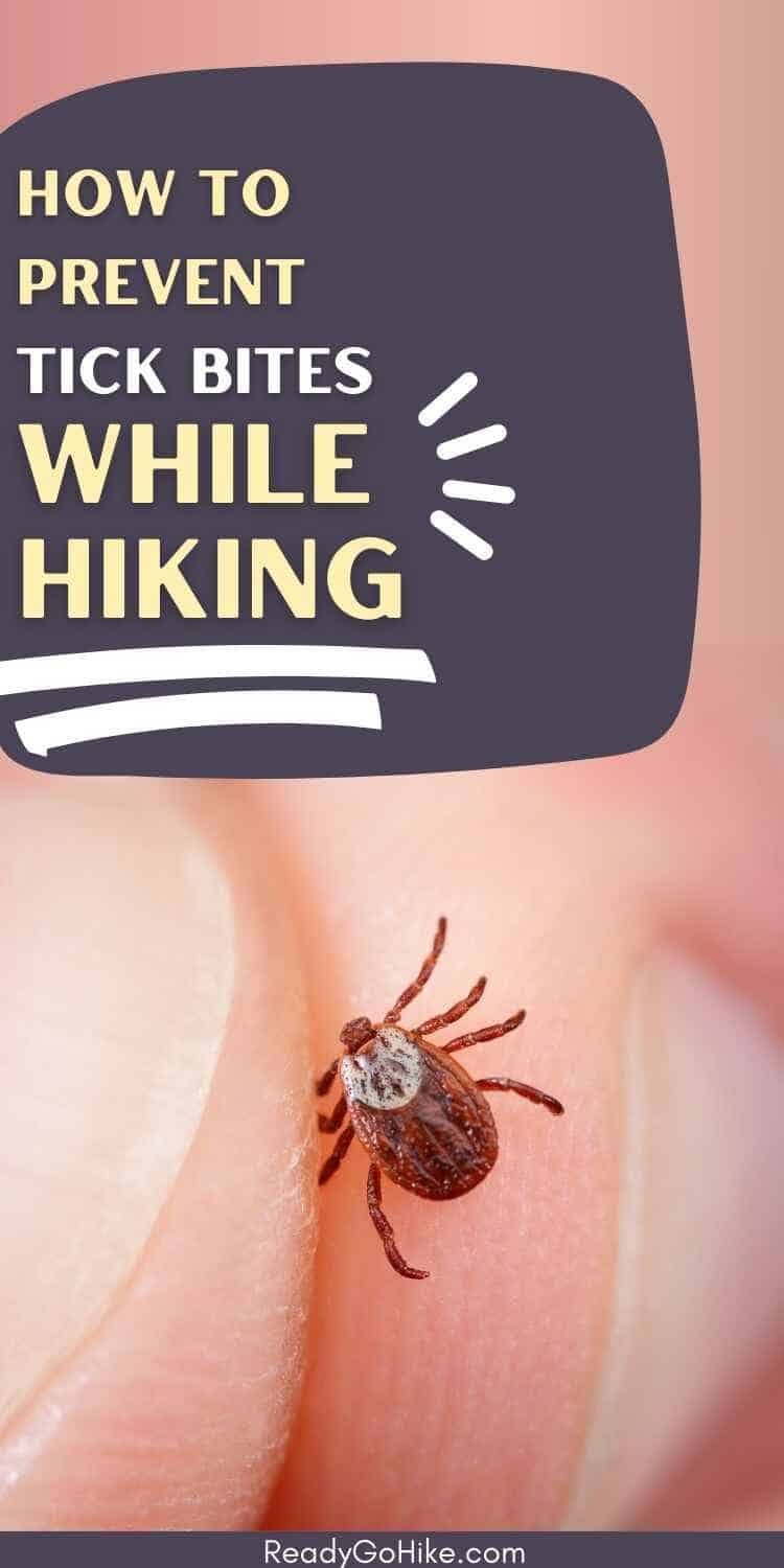 How to Avoid Ticks While You're Hiking or Camping - Ready Go Hike