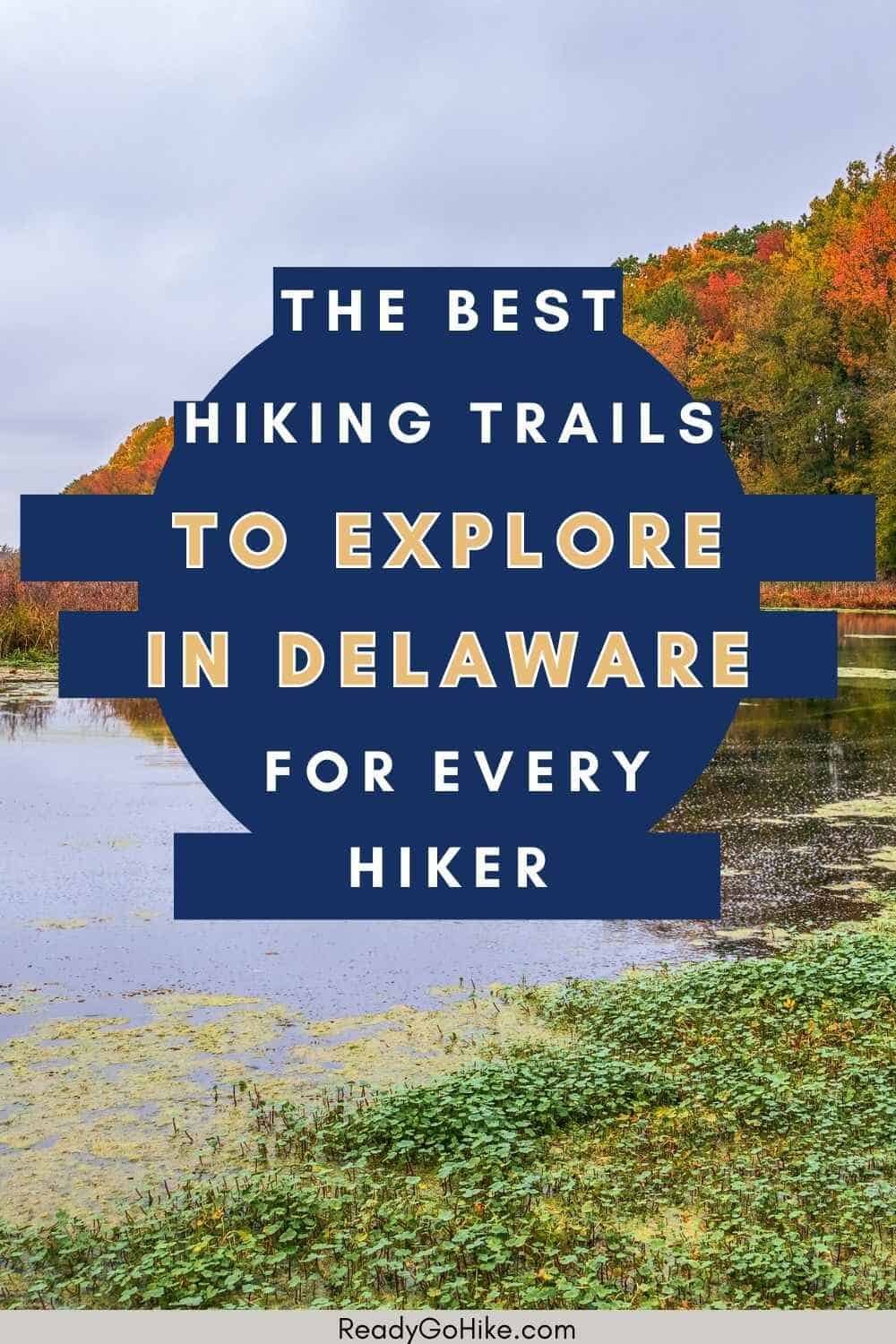 Gorgeous Hiking Trails in Delaware With Unbeatable Views - Ready Go Hike