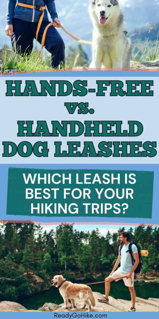 The Best Leash for Hiking With Your Dog of 2024 - Ready Go Hike